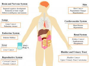 Prince Ramendra Narayan Roy & Arsenic Poisoning – Platform | CME