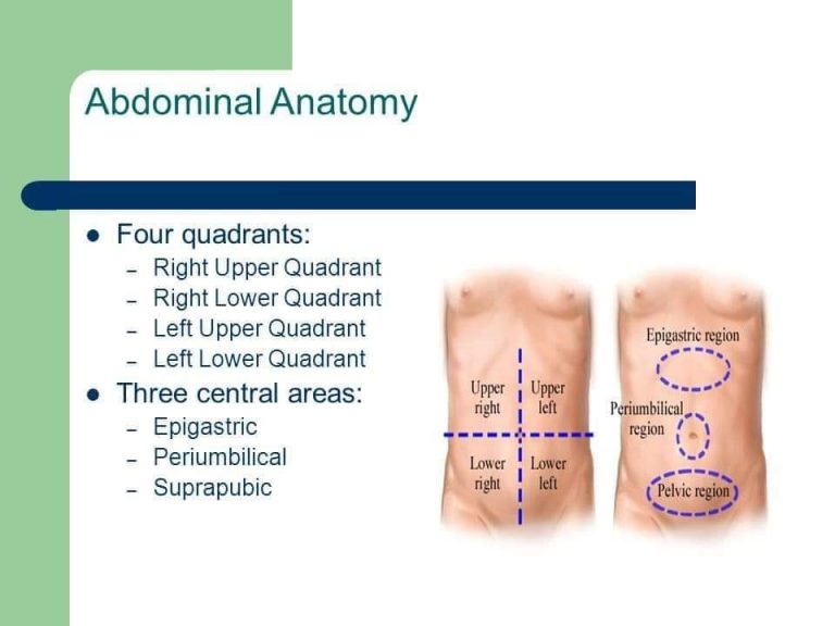 Approach to a patient with abdominal pain – Platform | CME