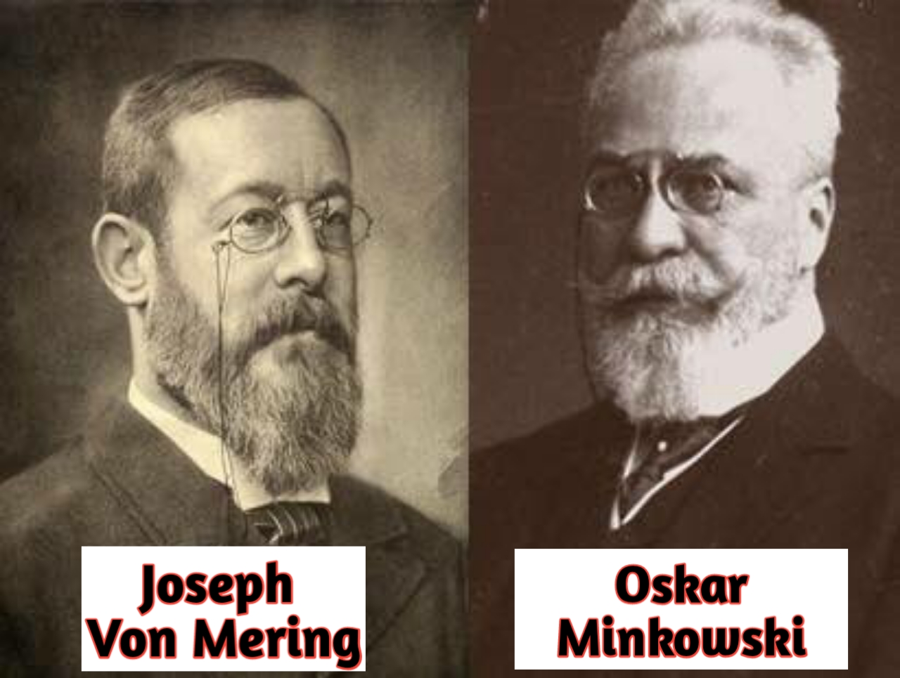 The father of the deaf and his battle with Diabetes || Part-01 ...