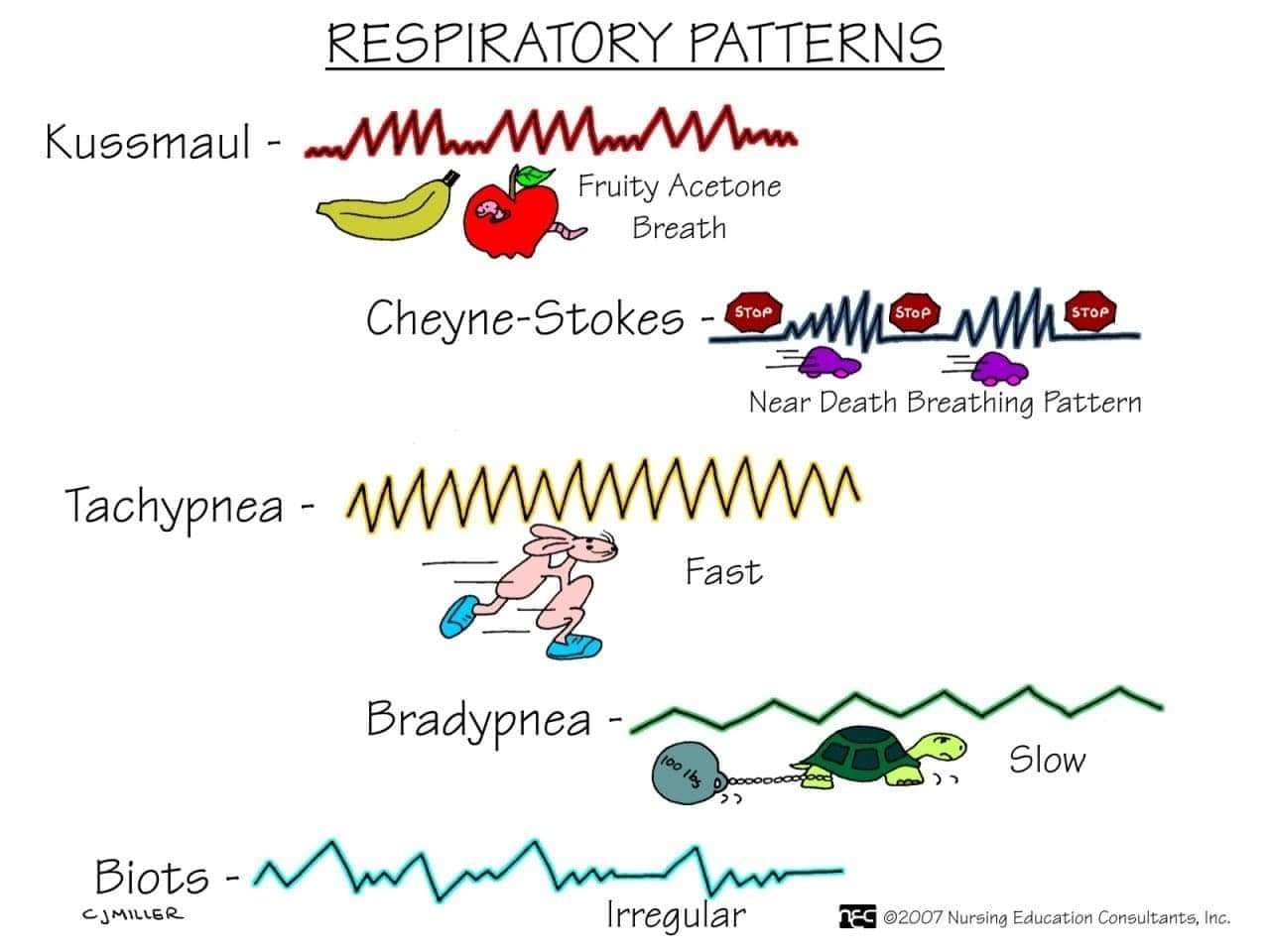 Lets know about Abnormal Breathing Pattern – Platform | CME